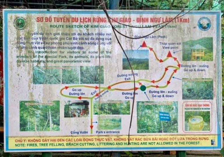 Kinh Nghiệm Du Lịch Vườn Quốc Gia Cát Bà: Giá Vé, Lịch Trình