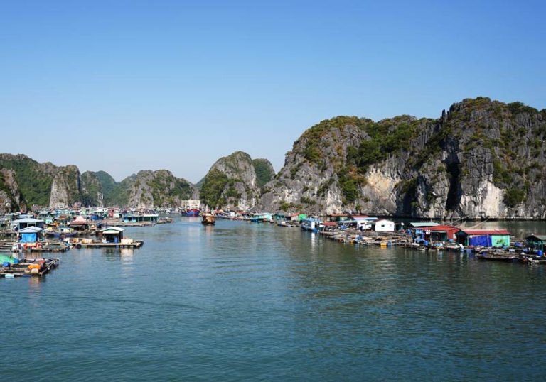 Bến Bèo Cát Bà - Khám phá làng chài cổ nhất Việt Nam