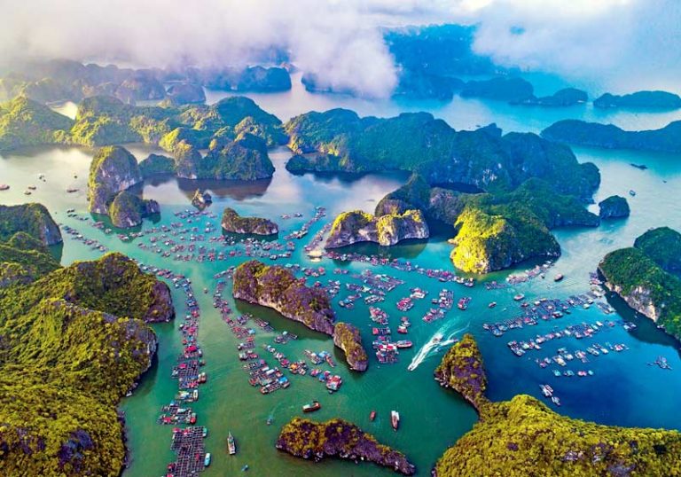 Bến Bèo Cát Bà - Khám phá làng chài cổ nhất Việt Nam
